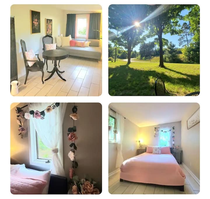 Romantic Pet-friendly Tiny House 10 Mins From Tc. - Traverse City, MI