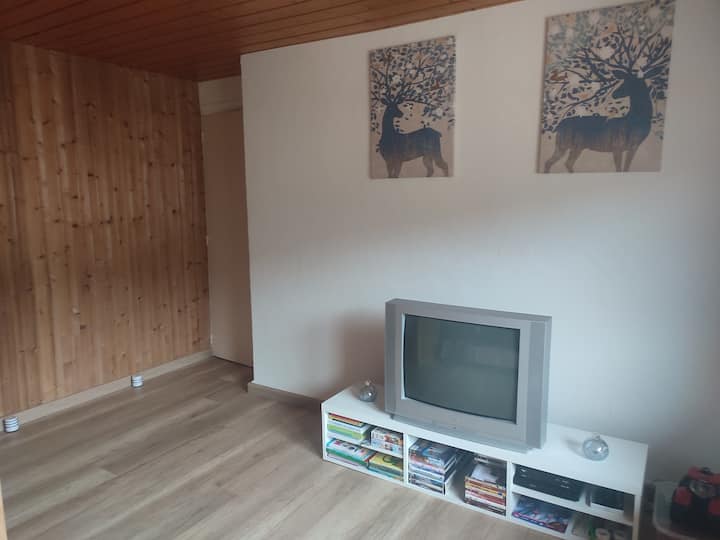 Duplex Spacieux Tout éQuipé - Saint-Genis-Pouilly