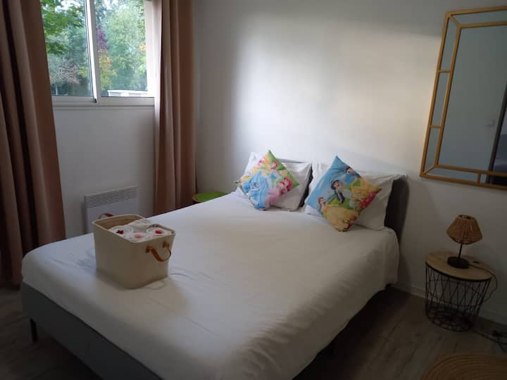 C016 Appartement Disneyland Paris Parking Et Wifi - Montévrain