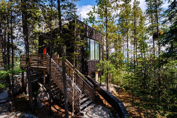 Black Spruce - Orange Door - Landscape Hotel! - Yukon