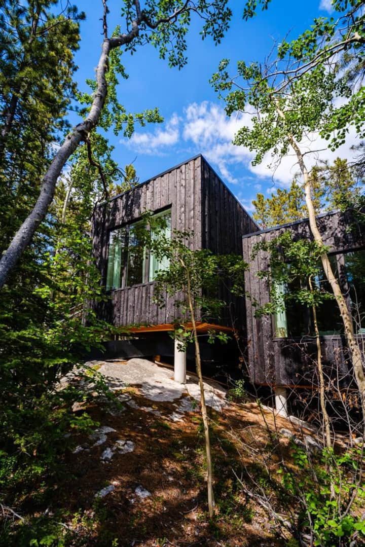 Black Spruce - Yellow Door - Landscape Hotel! - Whitehorse