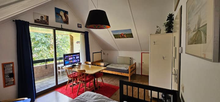 Gezellige Ruime Studio, Balkon. Bij Duin En Strand - Heemskerk