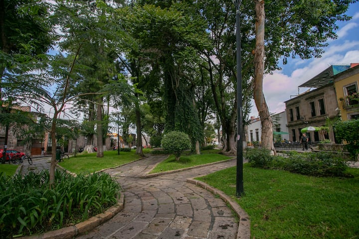 Hermoso Departamento Céntrico - Morelia