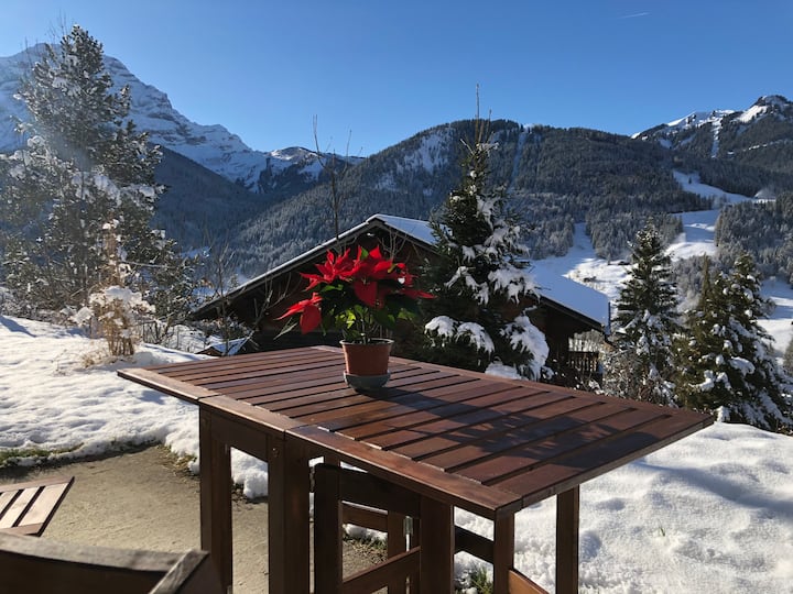 Chalet Alpin | Randonnées Près Du Glacier 3000 - Gstaad