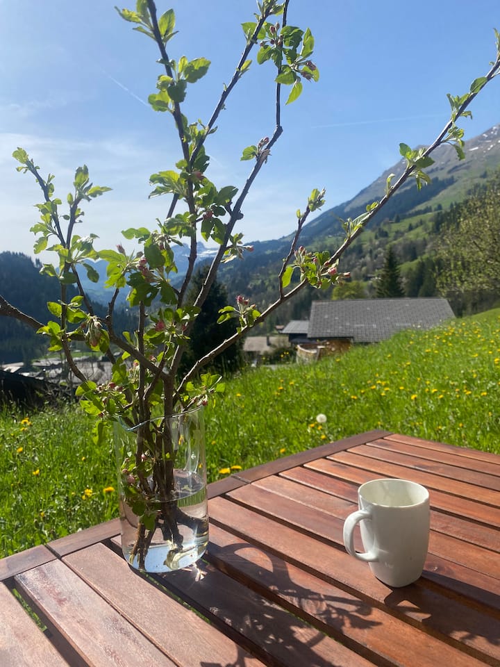 Chalet Alpin | Randonnées Près Du Glacier 3000 - Les Diablerets