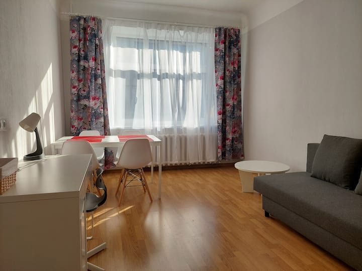 Lovely & Sunny | 2 Rooms | Free Street Parking - Riga