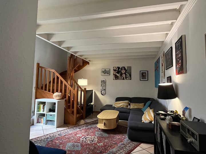 Gd Appartement Avec Cours Privative - Montpellier