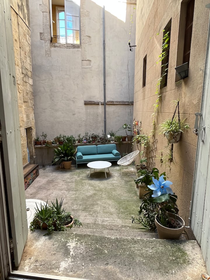 Gd Appartement Avec Cours Privative - Montpellier