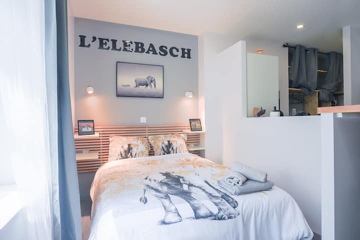 L’élébasch | Wifi + Basilique + Calme + Netflix - Riom