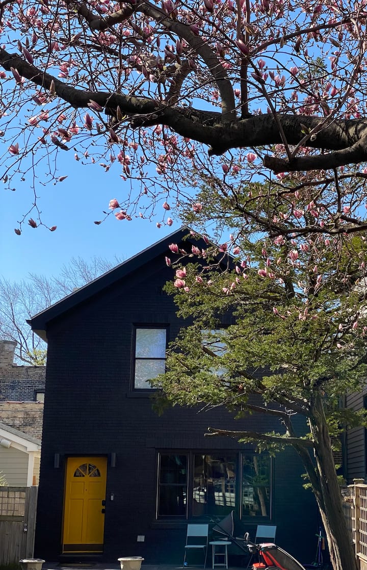 Prime 4br Sleeps 13 Chef Kitchen 8 Blocks To Cubs - Chicago, IL