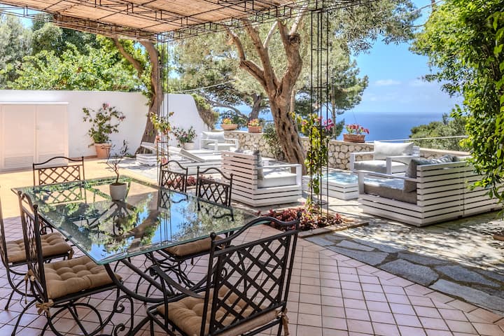 Capri Center - Beatrice, Oliveto Capri - Capri (island)