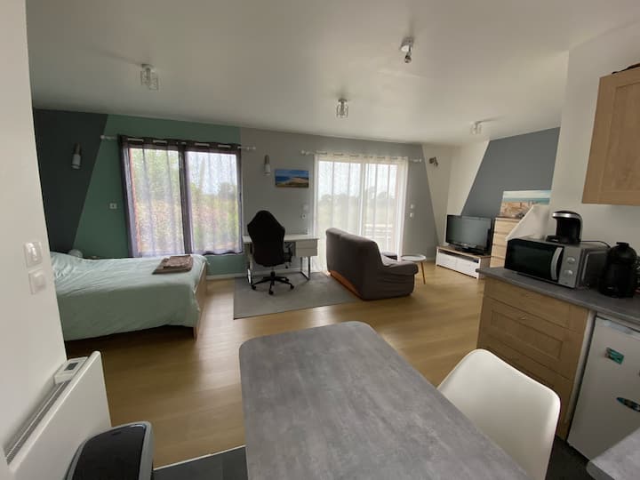 Studio Moderne Vue Sur Mer, Sur Gr223, Dans Bourg - Siouville-Hague