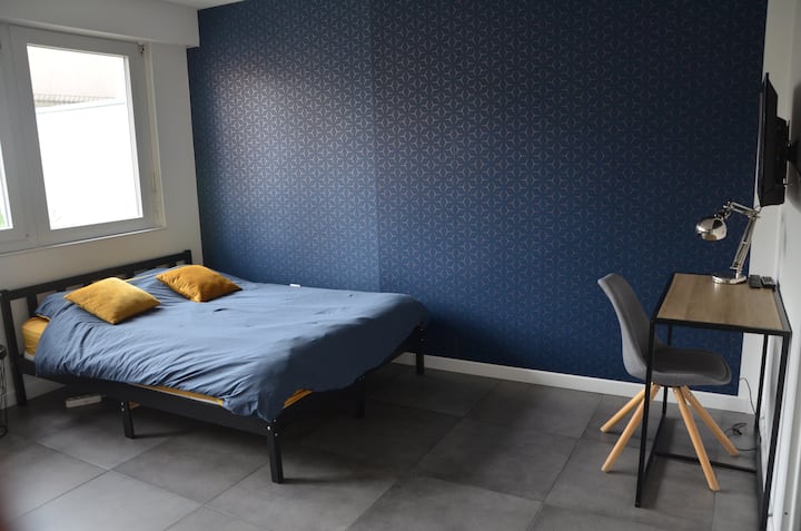 Studio Napoléon Proximité Gare Et Gem - Seyssins