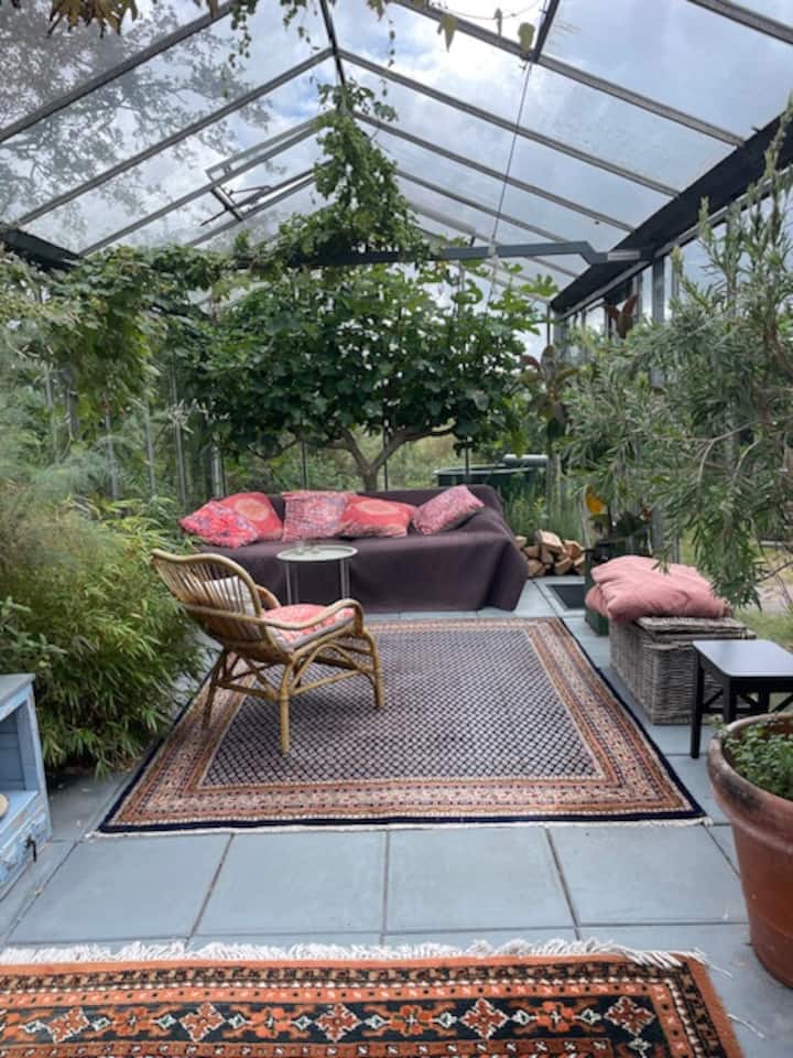 Greenhouse - Schoorl