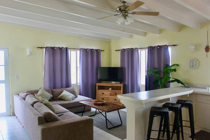 Eagle Beach Ocean - 2nd Floor Apt.#1 - Aruba