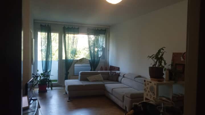 Habitation Doble En Apartamento - Geneva