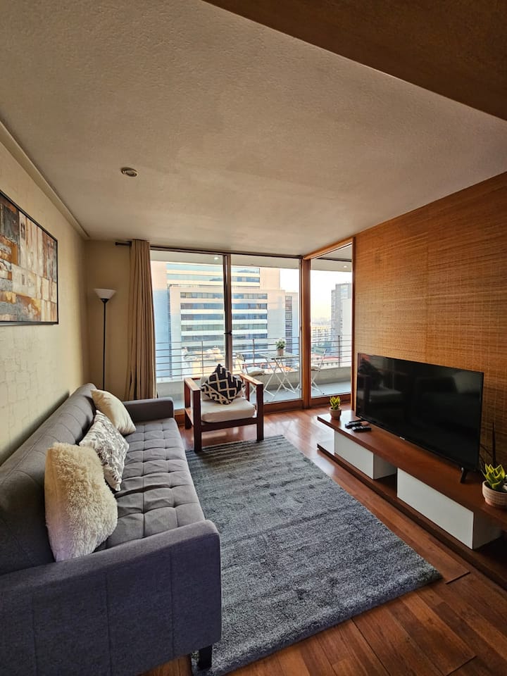 Céntrico Departamento Con Excelente Conectividad - Providencia
