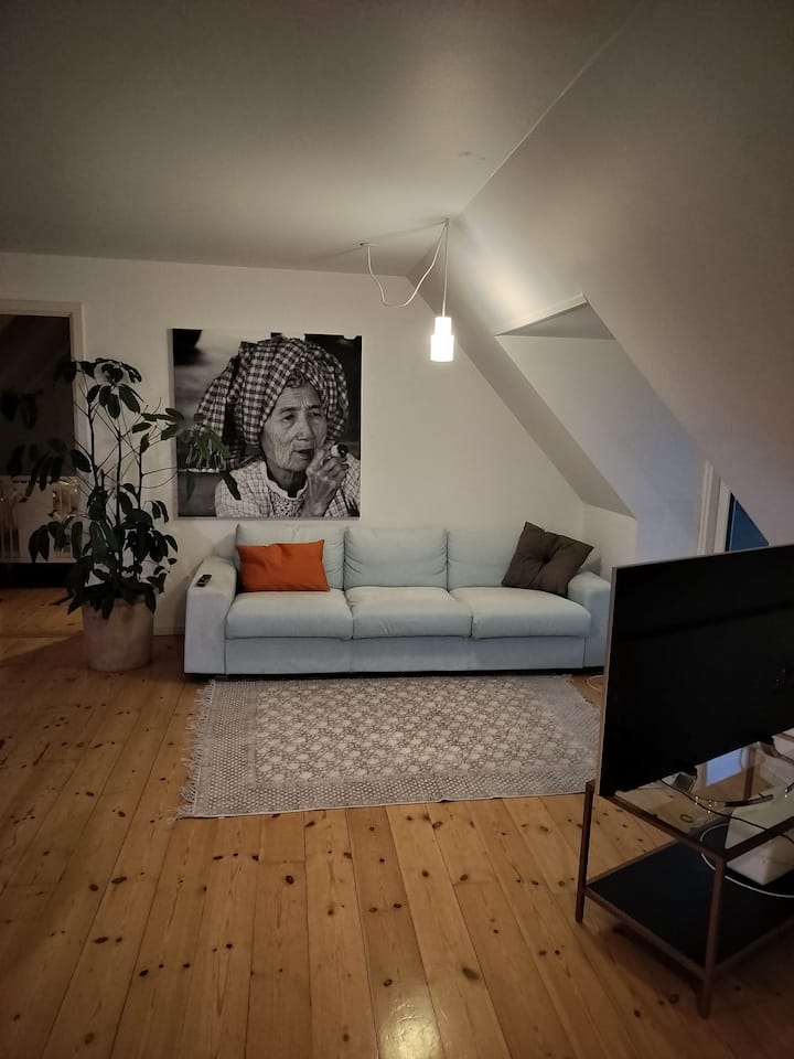 Skøn Lejlighed På Frederiksb Tæt På Skov Og Strand - Aarhus