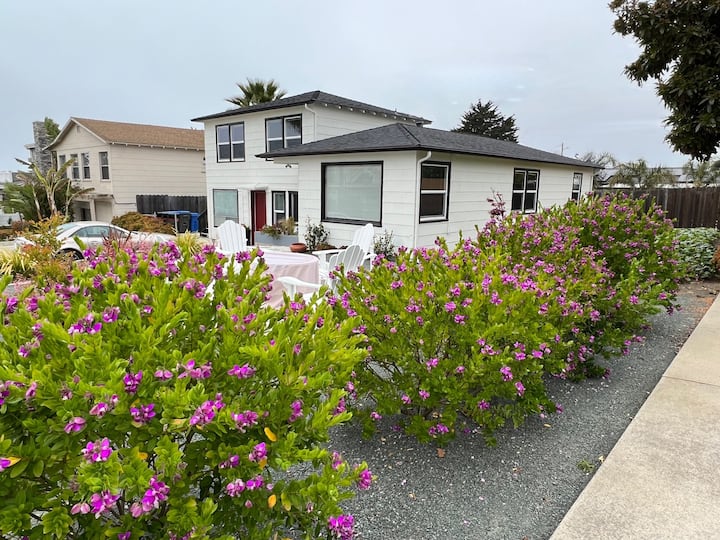 King's Corner - Amazing 2 Br By The Beach! - Avila Beach, CA