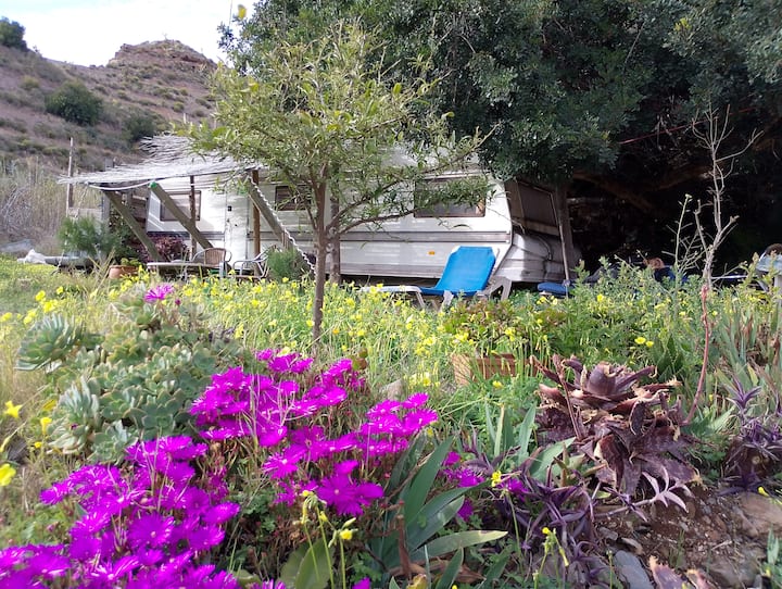 Espaciosa Caravana En Finca Rural - Costa Granadina