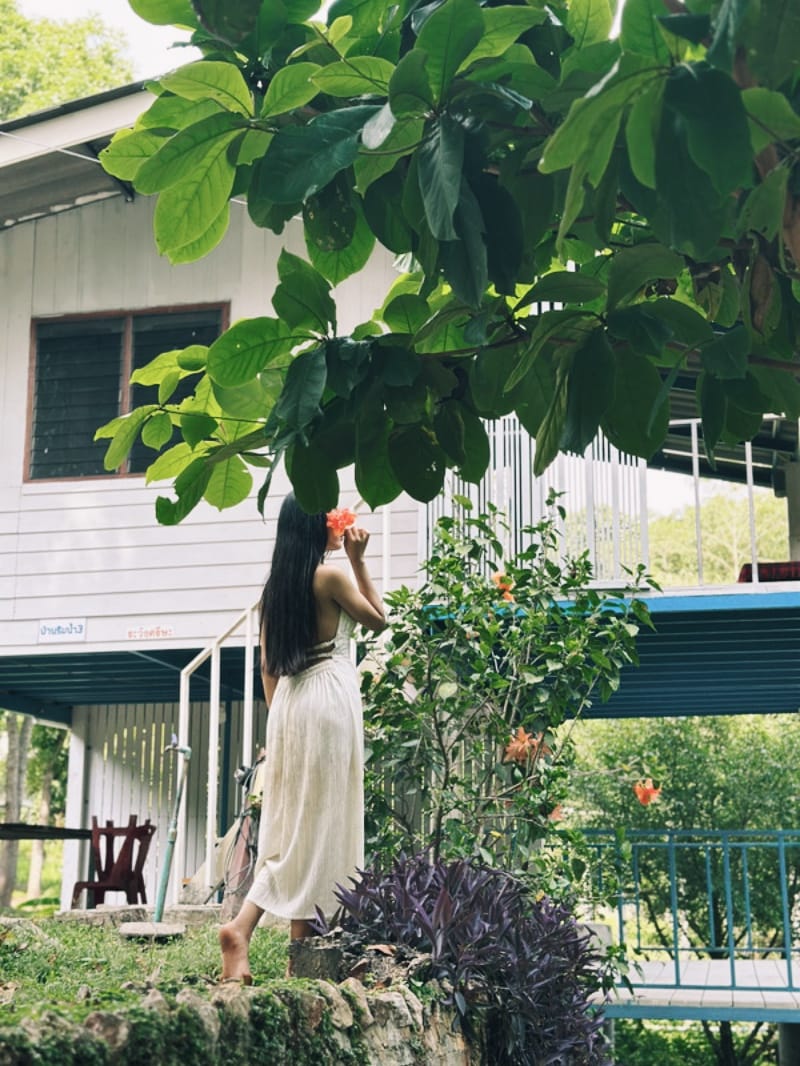 Nita Camping and Homestay - Houses for Rent in suanphung , Ratchaburi ...