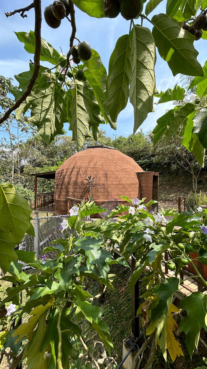 Glamping - Domo Café, El Tambo Eco Hotel. - La Vega