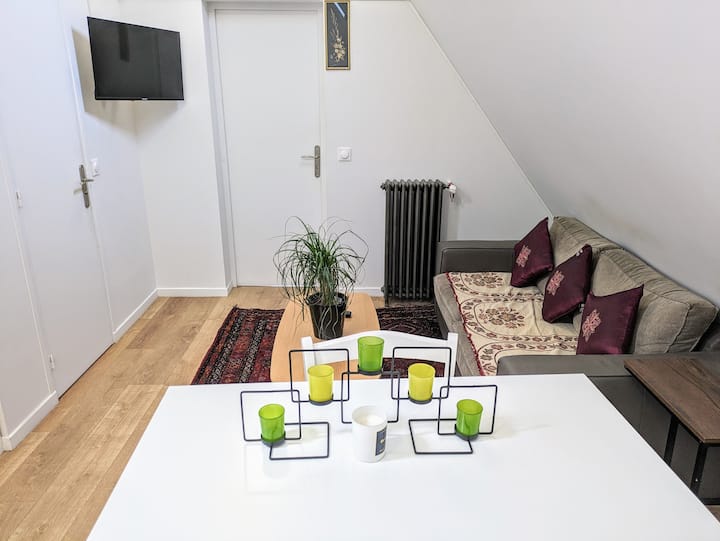 Splendid 2 Bhk In A House-30m From Paris - Saint-Germain-en-Laye