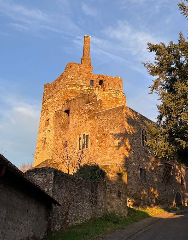 Burg Hermannstein - Queens Room - Wetzlar