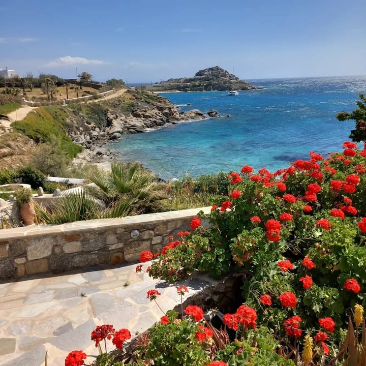 Aloe Garden Beach House - Mykonos