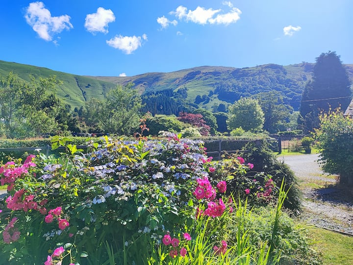The Tulip Suite, Springfield House, Grasmere - Grasmere