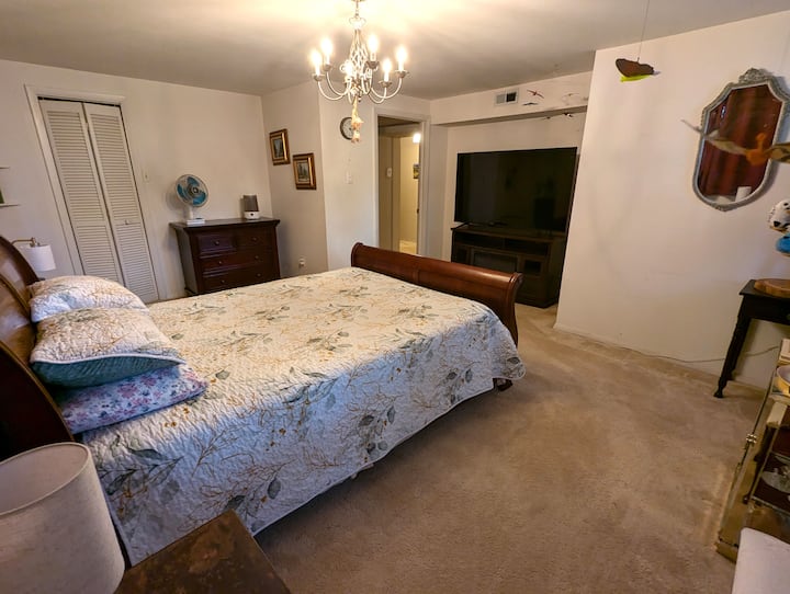 Charming Basement Apartment In Perfect Location! - Colorado Springs, CO