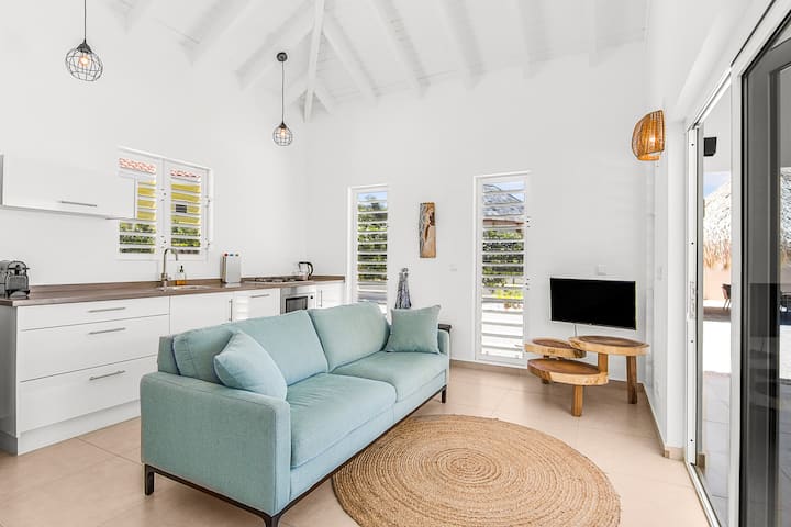 Vakantievilla Met Zwembad Villa Rustique - Curaçao