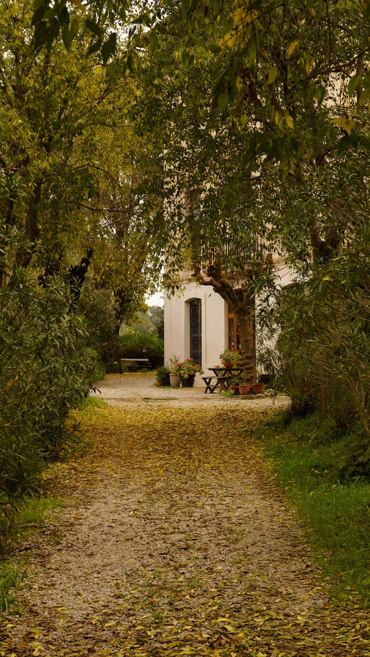 Exquisite Loft "Bed & Breakfast" Near Bcn - Corbera de Llobregat