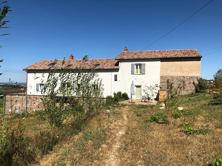 Joli Gîte Au Cœur Des Vignes Du Beaujolais - Saint-Georges-de-Reneins