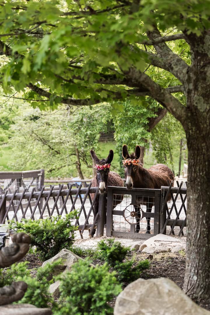 Charming, Historic Farm Surrounded By Nature - Georgia, GA