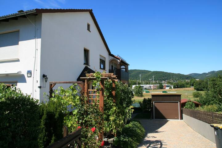 Breidenstein - Ferienwohnung - Bad Laasphe