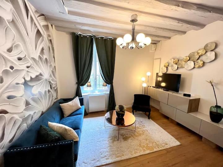 L'ecrin: Appartement De Charme En Cœur Historique - 迪戎