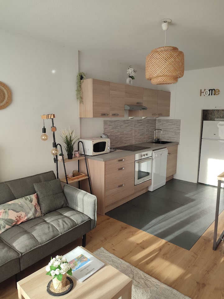 Superbe Appartement, Parkings Gratuits Sur Place - 聖特拉斯堡