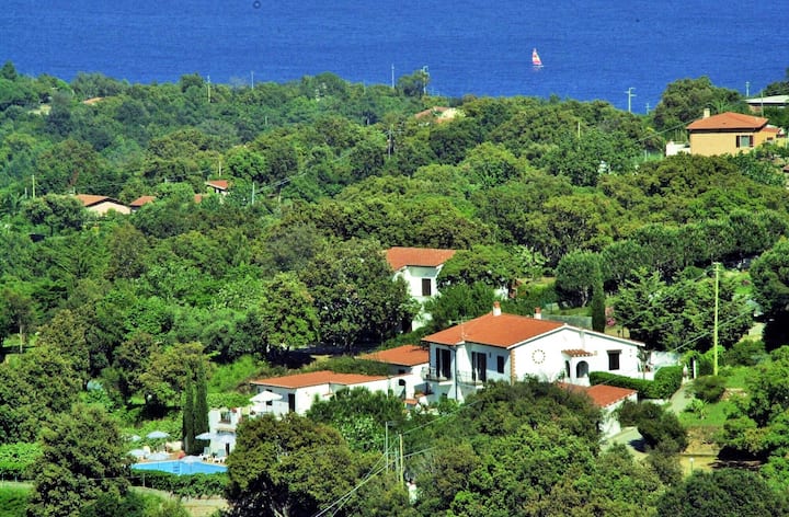 Villetta Apt Rosmari Giardino Piscina A Capoliveri - Capoliveri