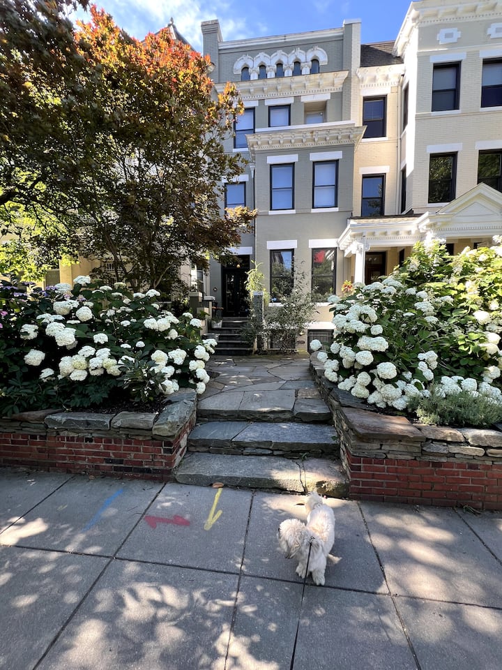 Historic Beauty In Adams Morgan! - Washington, D.C.