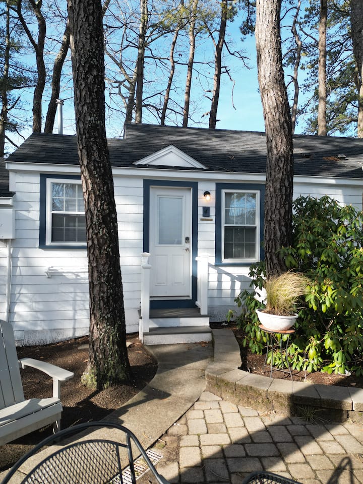 Cheerful 1 Bedroom Cottage Only 50ft From Beach #5 - Carousel, Old Orchard Beach