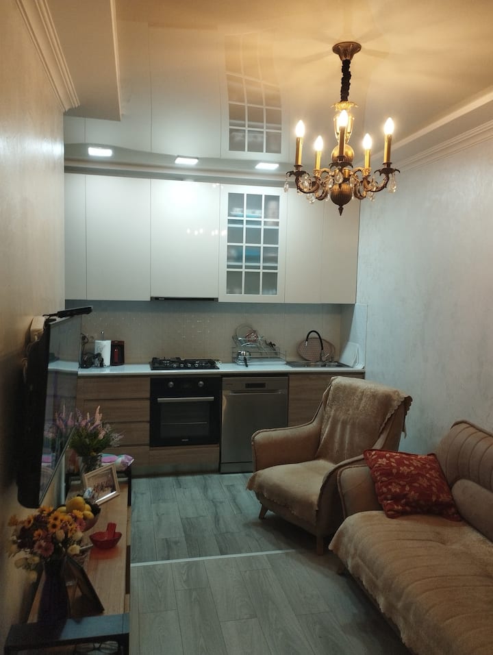 Dns' Cozy Apartment Near Football Stadium. - Batumi