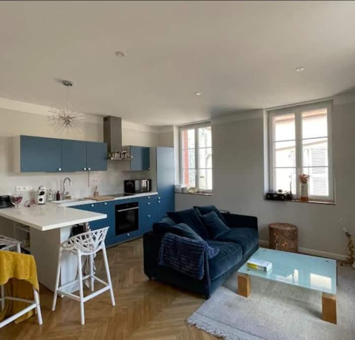 Bel Appartement Lumineux Carmes Centre De Toulouse - Toulouse