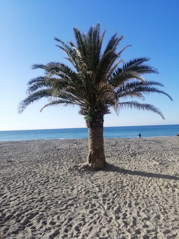 Appartamento Signorile, Finale Ligure Pia Centro - Bergeggi