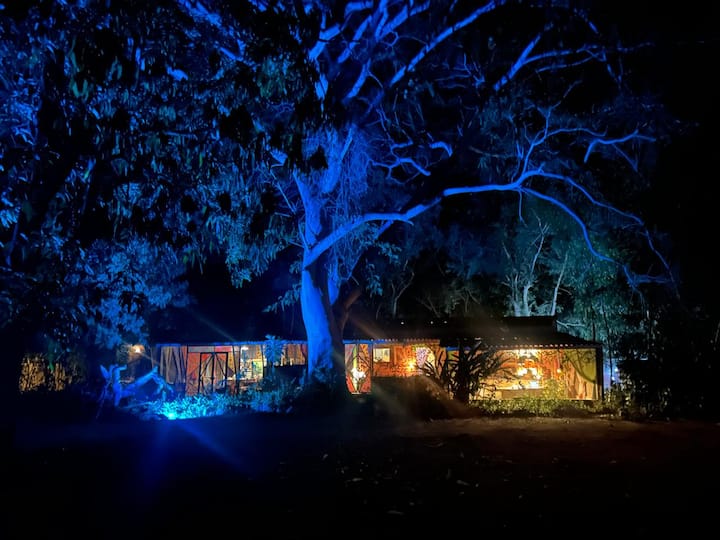 Planta - Entire Retreat Center & Digital Nomad Hub - Santa María Huatulco