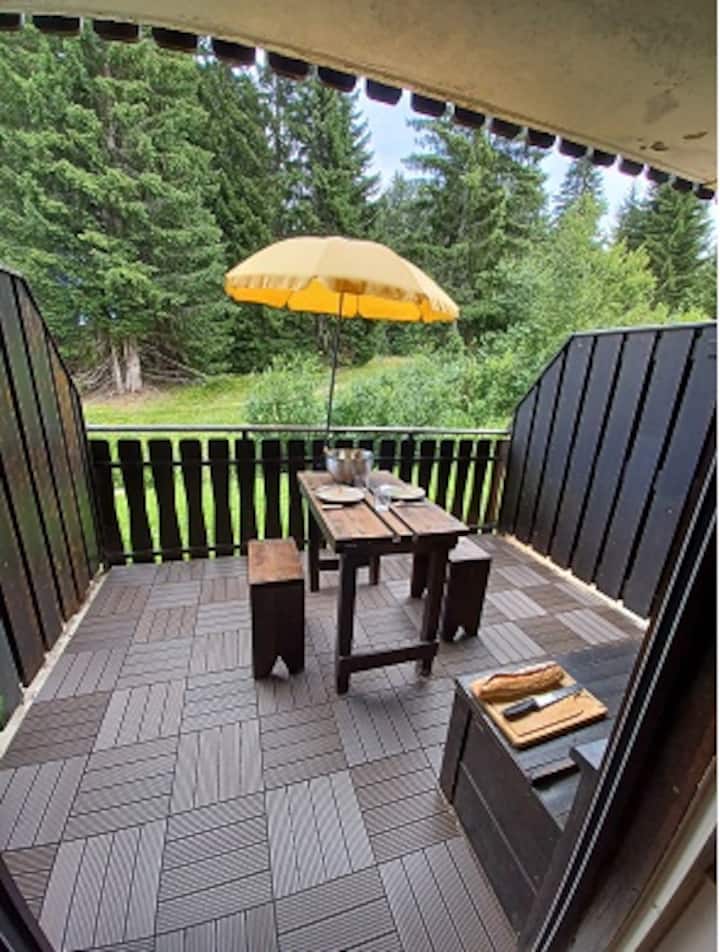 Charmant Studio 20 M2 Praz De Lys Centre Station - Taninges