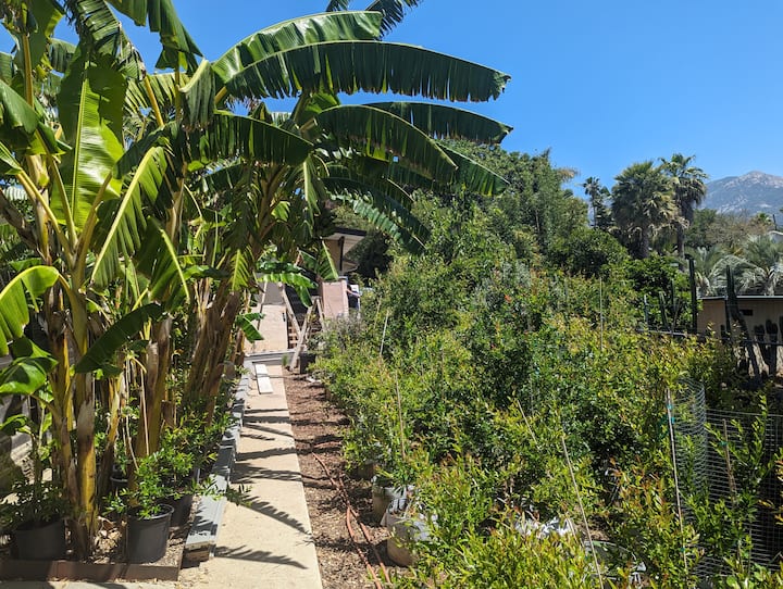 Subtropical Private 1 Bedroom Unit Mountain Views - Santa Barbara, CA