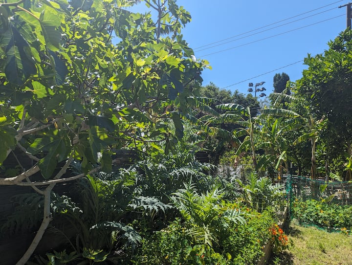 Subtropical Private 1 Bedroom Unit Mountain Views - Isla Vista, CA