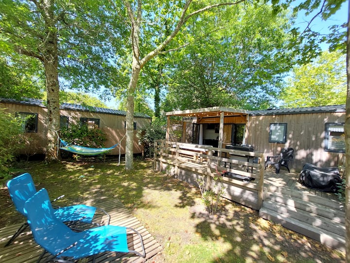 Mobil-home Privilège Camping 5* 6 Pers - Sanguinet