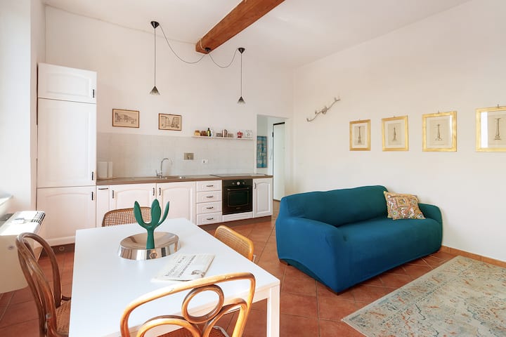 Effetto Venezia Livorno - Livorno